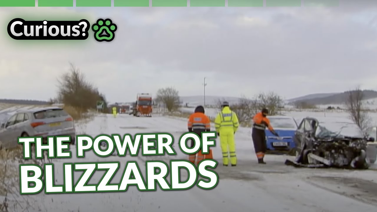 Tales of Deadly Blizzards | Deadly Disasters | Curious?: Natural World