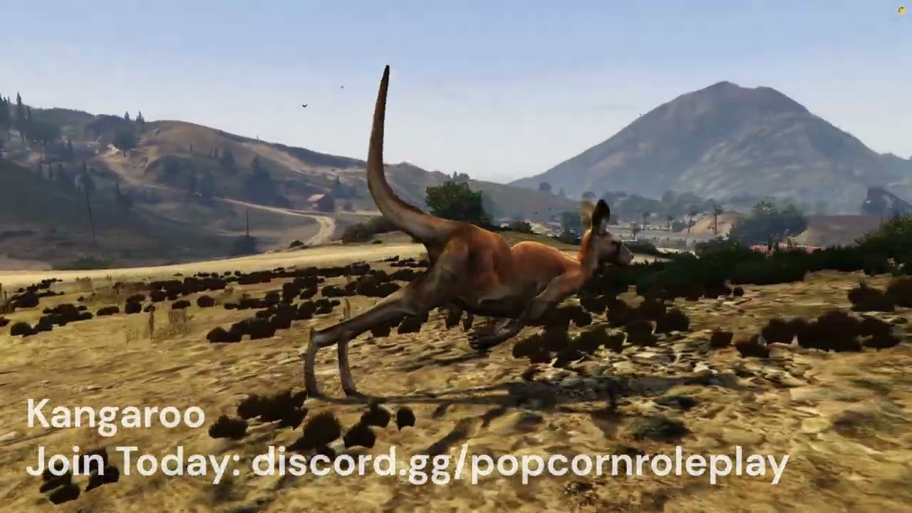 Kangaroo - Add-on Animal Ped - FiveM Releases - Cfx.re Community