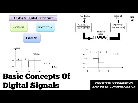 Basic Concepts About Digital Signals | Computer Networking And Data Communication