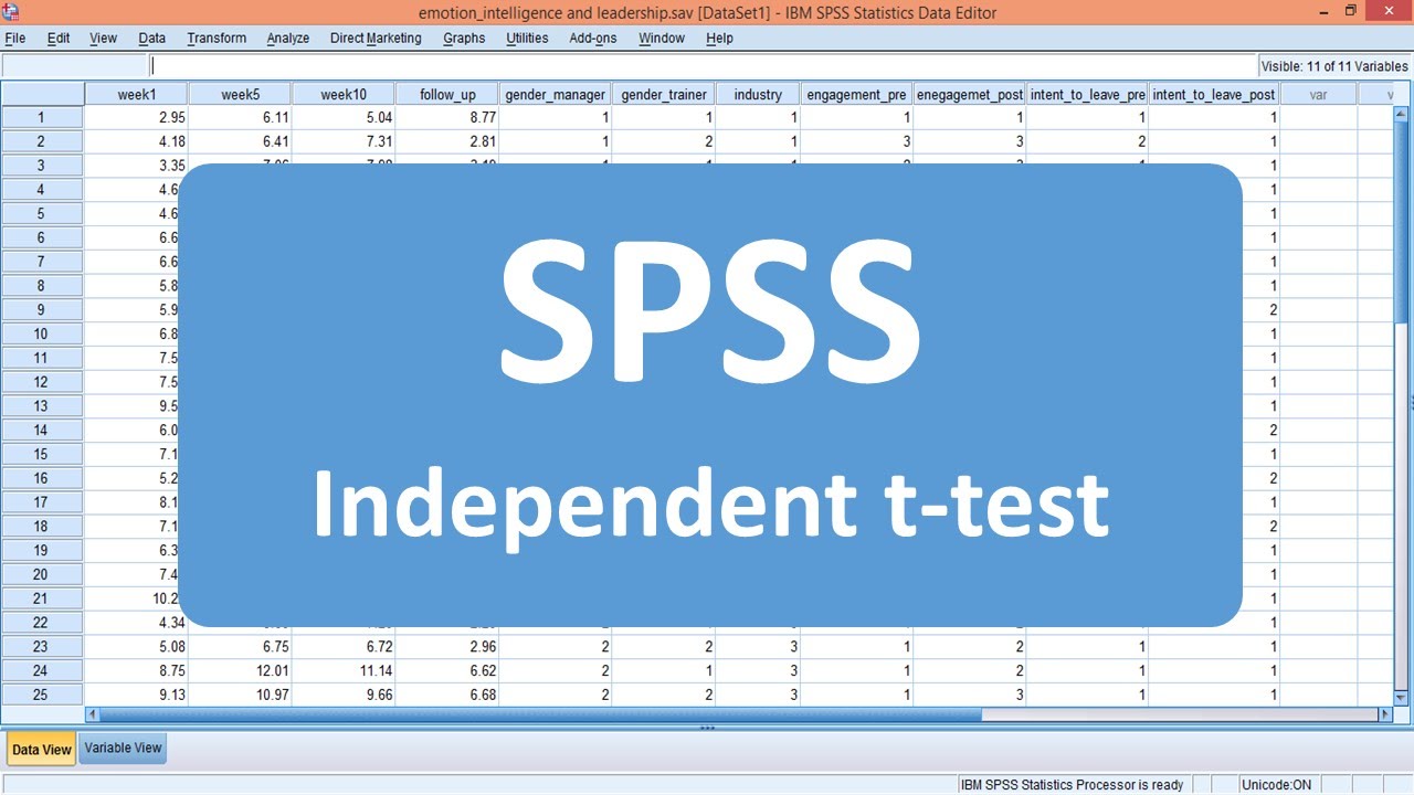 Independent t-test - SPSS (Example 1)