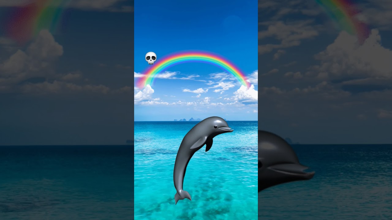 #dolphin #trending #shorts #fyp #filter #song #rainbow