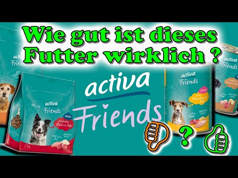 Activa dog food final