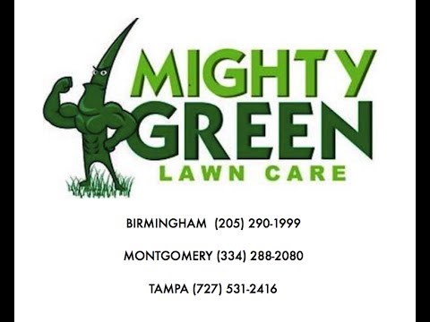 Best Lawn Treatment Company in Birmingham AL