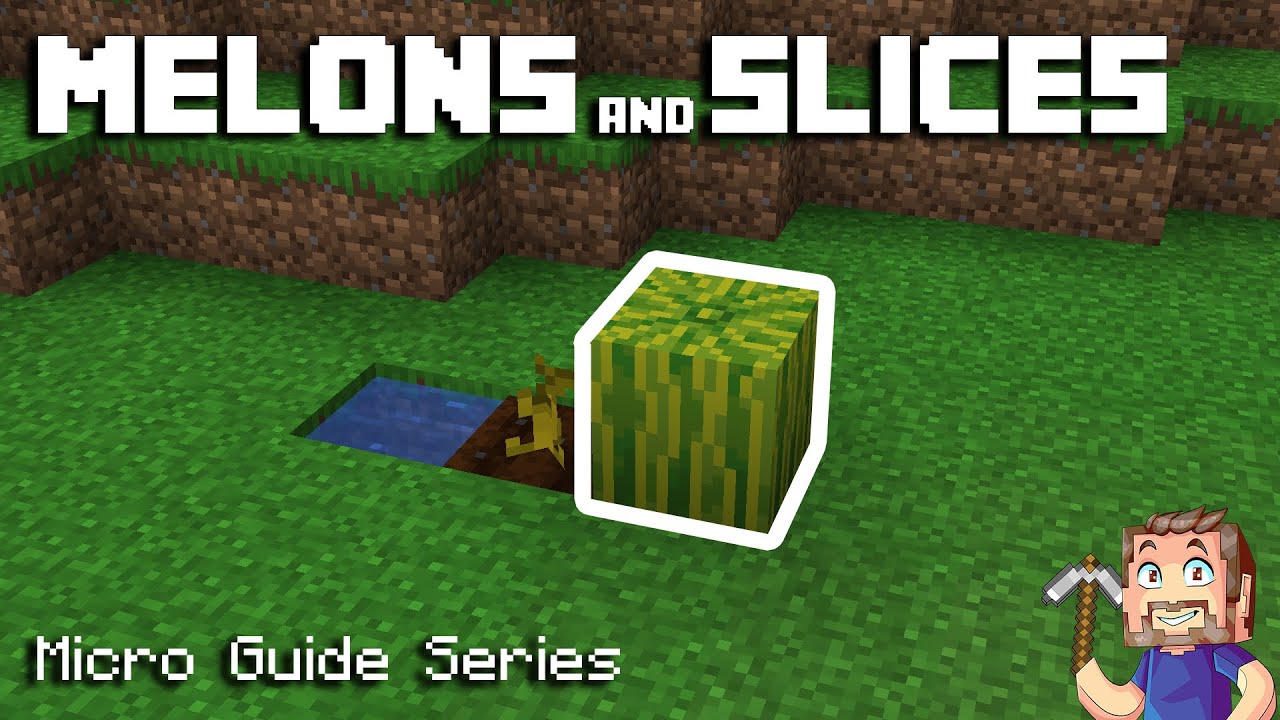 Melons - Minecraft Micro Guide