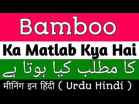 Bamboo Meaning | Bamboo Meaning In Urdu Hindi | Bamboo Ka Matlab Kya Hai | Bamboo Ka Meaning Kya Hai