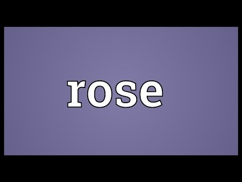 Rose Meaning