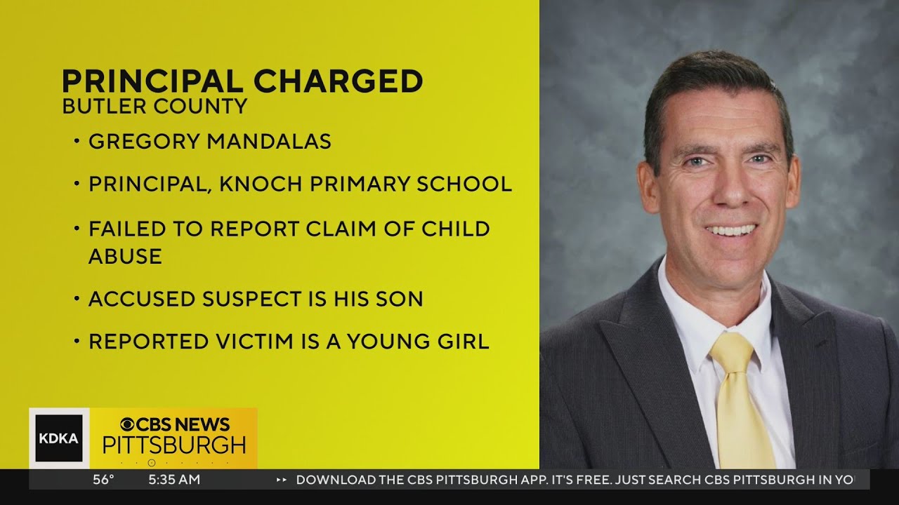 Knoch Primary School principal charged with failing to report alleged sexual abuse