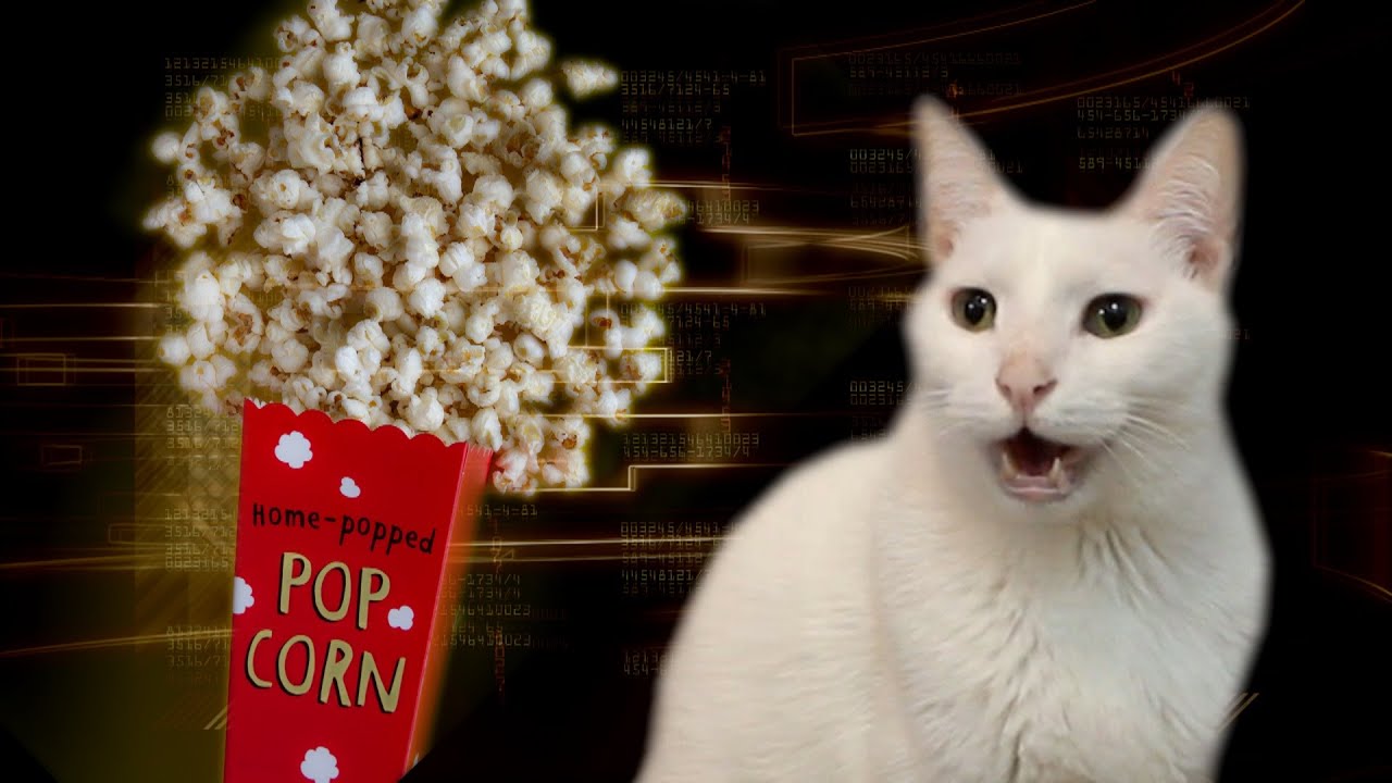 Popcorn Song - Crazy Cats