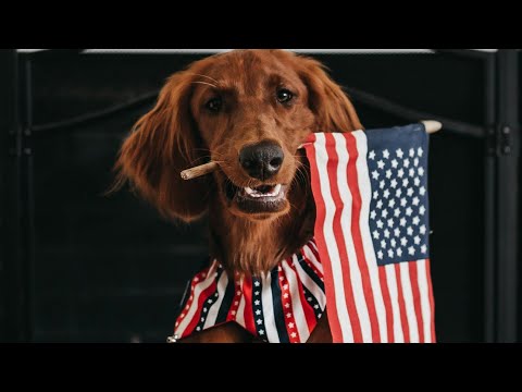Does the United States Need an American Origin Story?