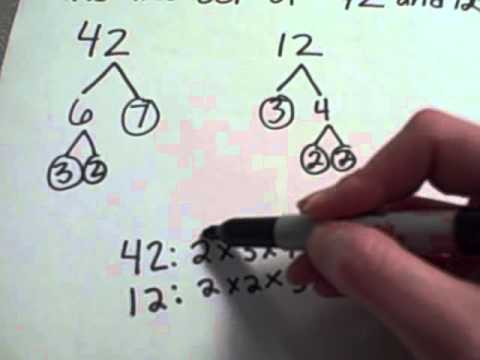 GCF using factor trees
