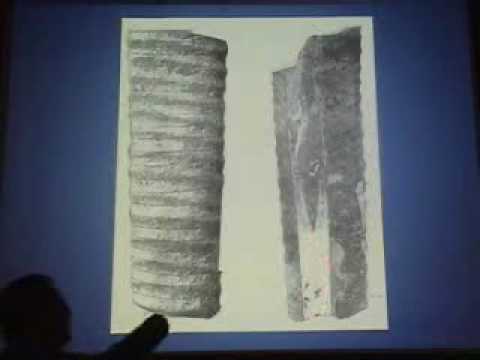 Fossil Nautiloid Cephalopods pt 5 of 8 by Dr.Robert Frey