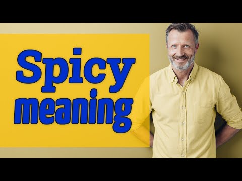 Spicy | Meaning of spicy 📖