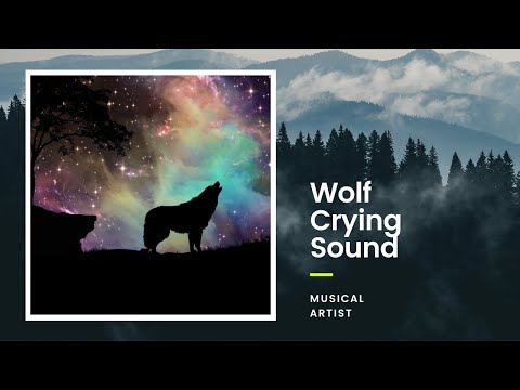 Awesome wolf Howling Compilation | Wolves Howling Sounds | Musical Artist