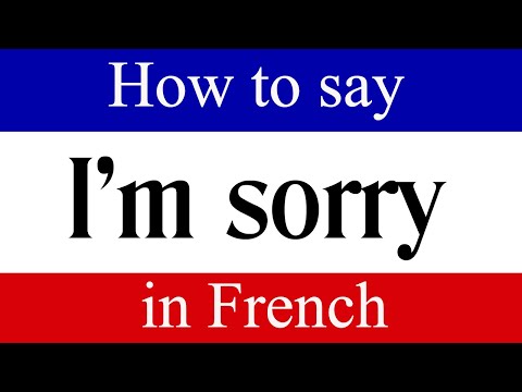 How to Say "I'm Sorry" in French | Learn French Fast with Words & Phrases Daily