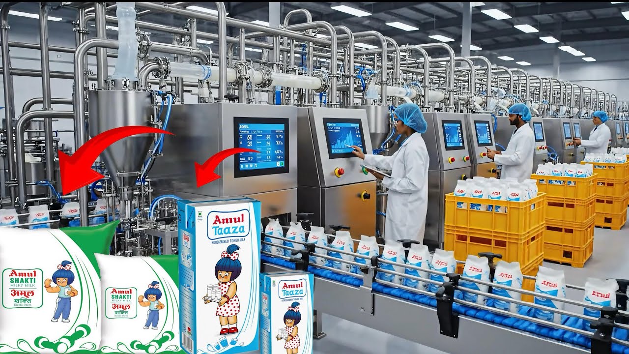 How Amul Milk Is Made in India | Complete Factory Process