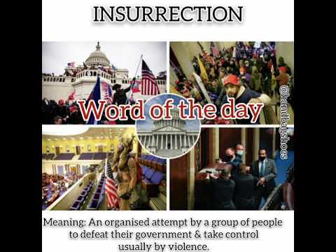 INSURRECTION MEANING