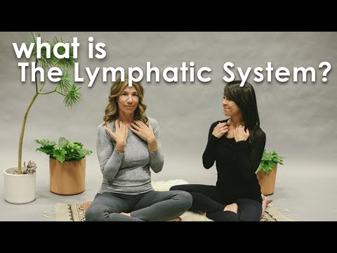 What is the Lymphatic System? | Lucille Yoder