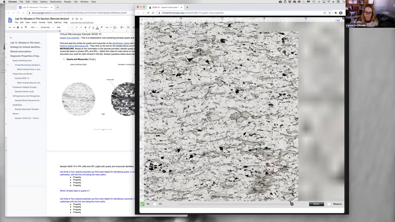 Virtual microscope documentation in lab