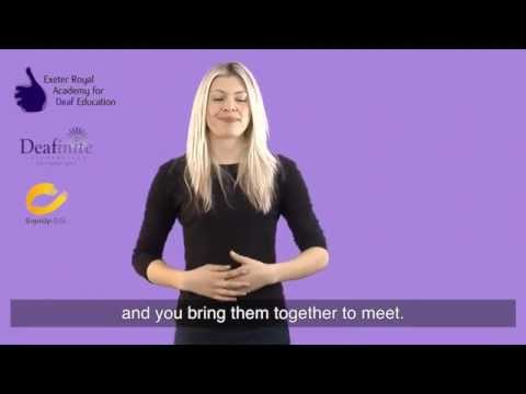 Learn to Sign 'Nice To Meet You' and 'Bye' in British Sign Language (BSL)