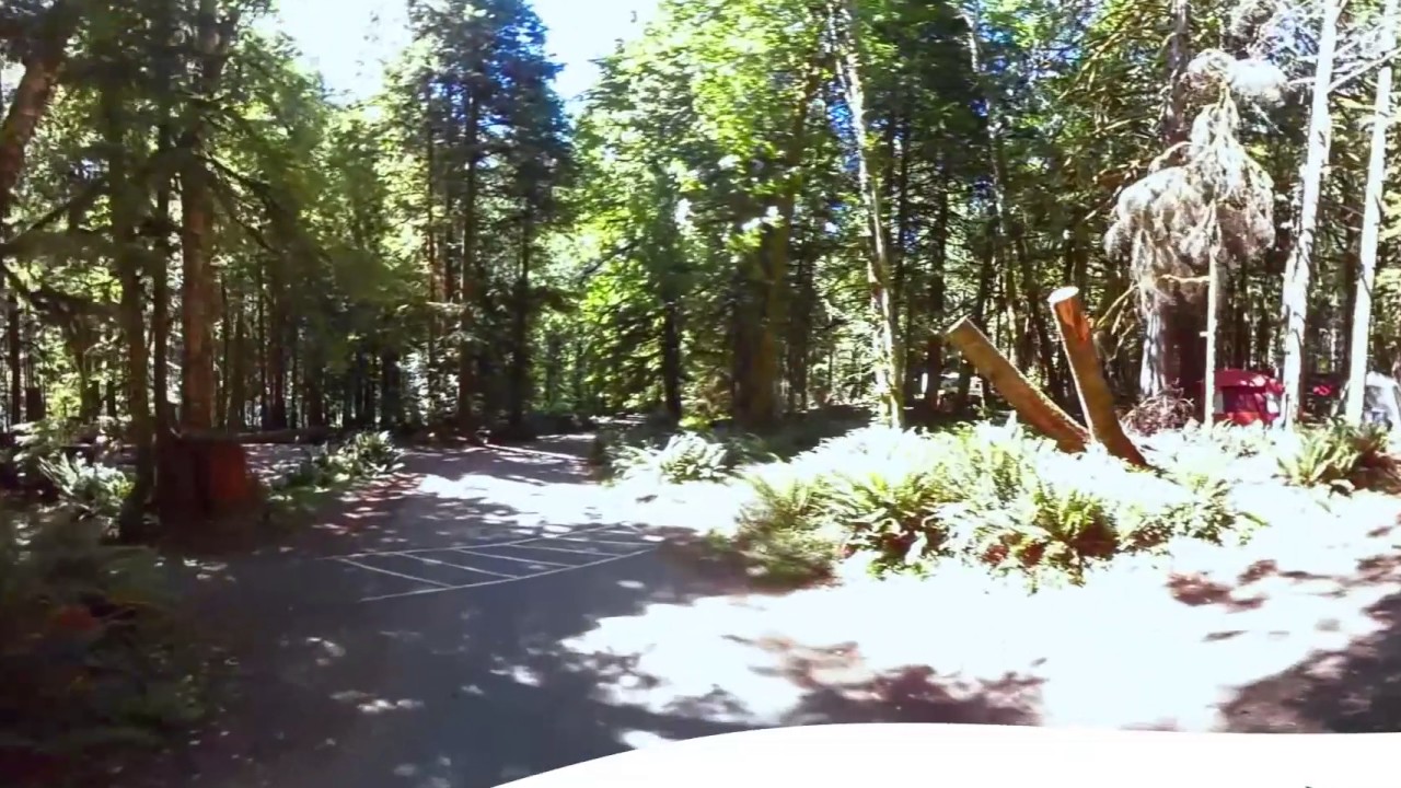 Fairholme Campground Olympic National Park - 360 Video Virtual Tour 4K