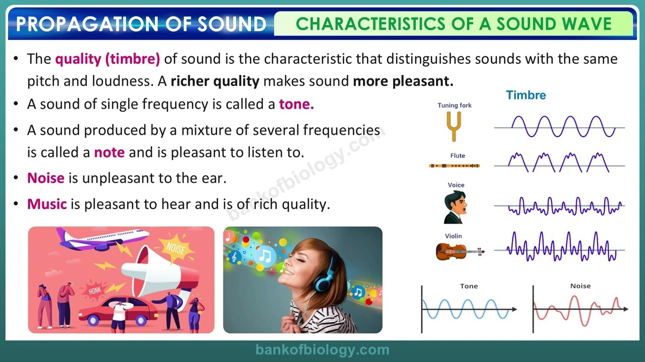 Sound  ppt | Class 9
