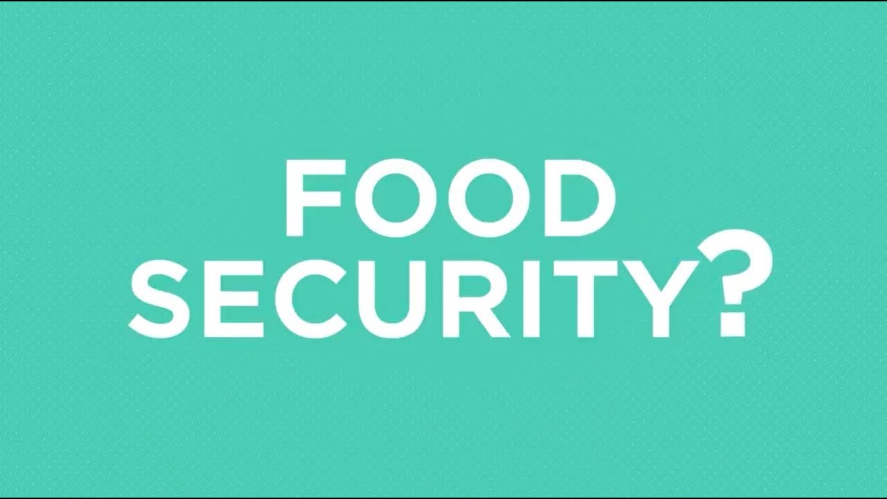 What is food security?