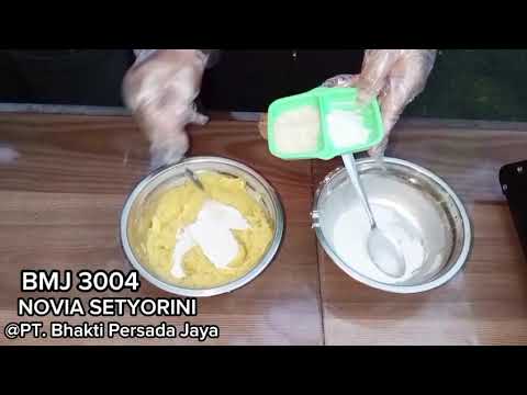 BMJ 3004 NOVIA SETYORINI ( Indonesian Domestic Helper )