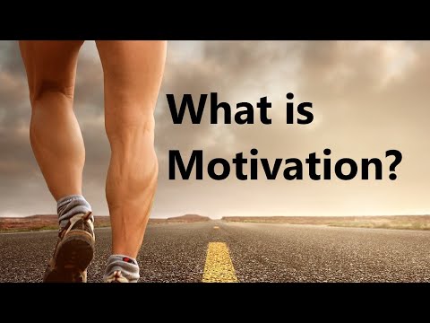 What is Motivation? Urdu/Hindi