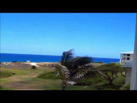 Quiet Moments by the Ocean (Best watched on HD)