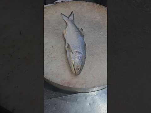 Indian Salmon Fish Fastest Cutting Skills#shorts