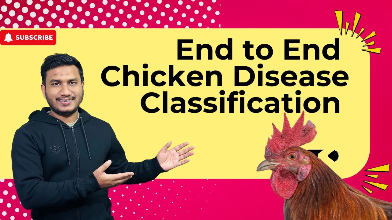 End to End Chicken Disease Classification | Deep Learning Project Implementation