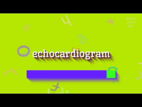ECHOCARDIOGRAM - How to pronounce it?