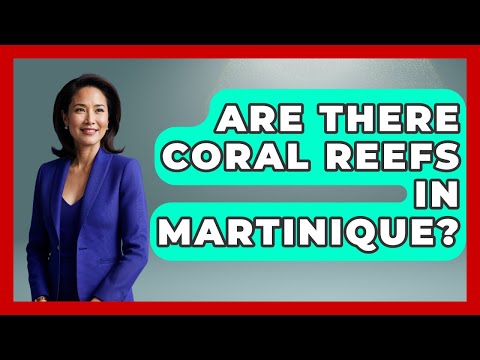 Are There Coral Reefs In Martinique? - The Caribbean Expert