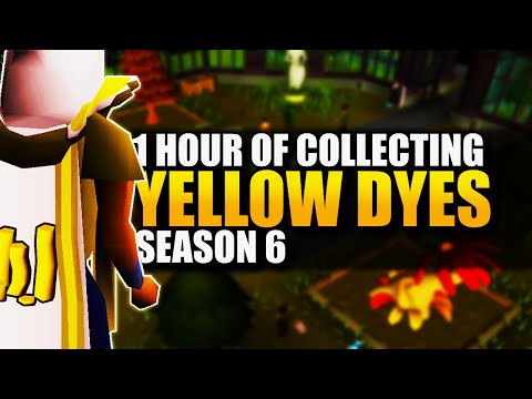 Collecting Yellow Dyes | Testing OSRS Wiki Money Making Methods | Money Making Guide 2022