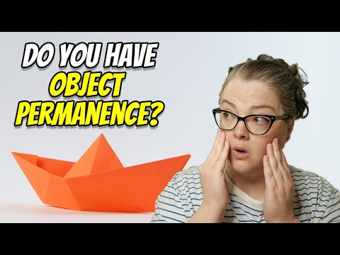 What is Object Permanence?