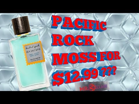 PACIFIC ROCK MOSS FOR $12.99?!?! SEA SALT & FIG by OLD NAVY'S KINDRED GOODS