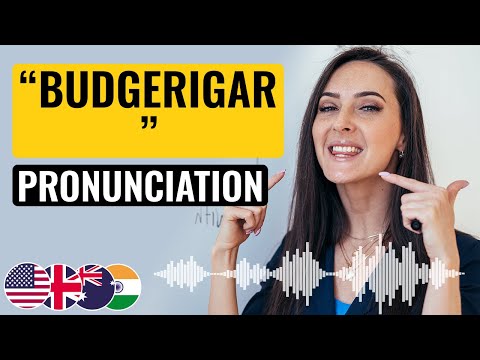 👄 How To Pronounce Budgerigar 🇺🇸 🇬🇧 🇦🇺 🇮🇳 accents