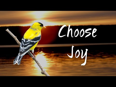 💛Energy update for the week of Sept. 4-10 (+ Goldfinch spirit animal meaning & art)