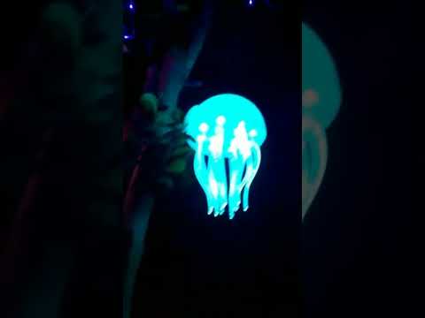 Another ideas for the gala dinner event#AVATAR#SEA BY JUNGLE