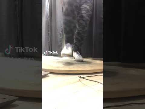 Julie Tap Dancing In Her White Tap Shoes