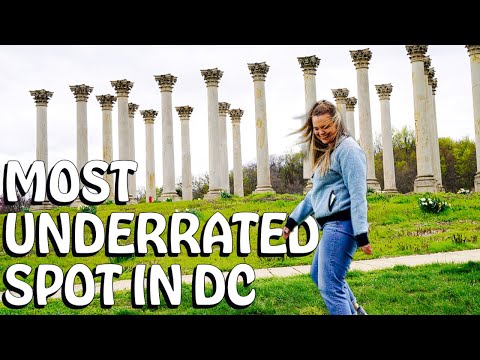 US NATIONAL ARBORETUM  DC - HIROSHIMA BONSAI, CAPITOL COLUMNS, STATE TREES (a tree-mendous time)