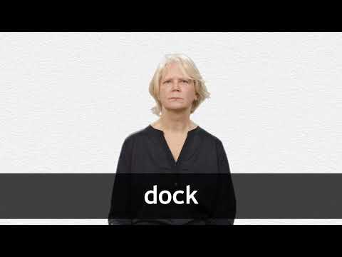 DOCK definition and meaning | Collins English Dictionary
