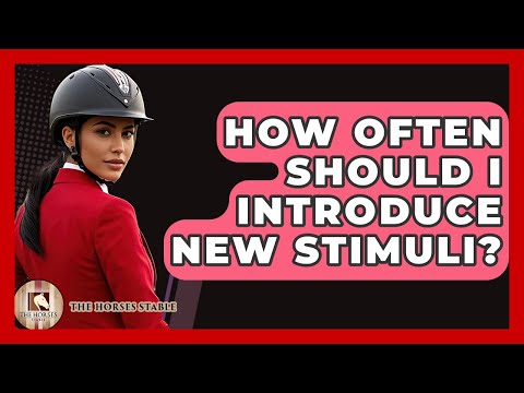 How Often Should I Introduce New Stimuli? - The Horses Stable