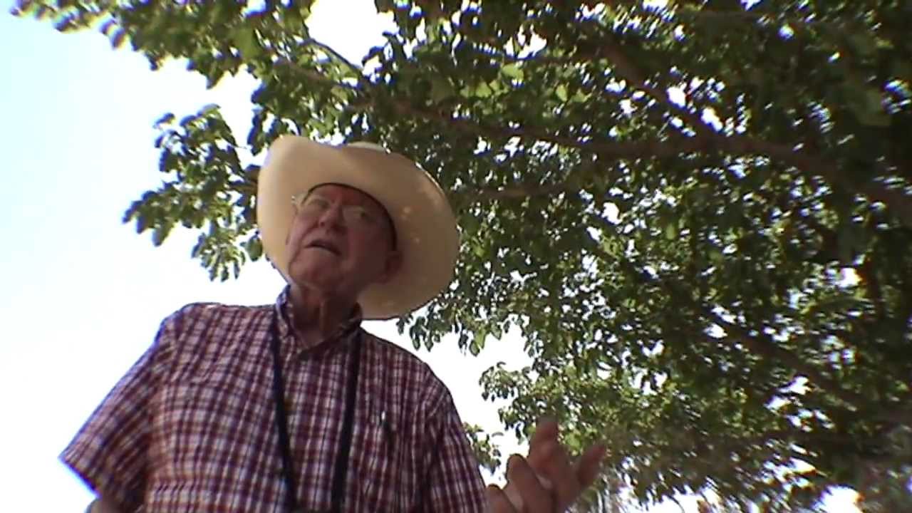 Toyah, Tx  part 2