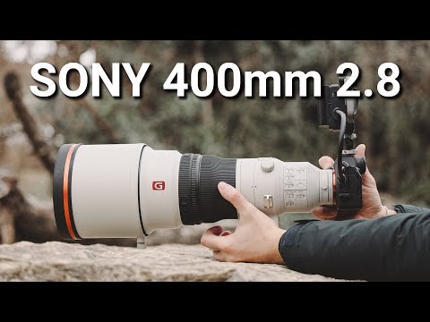 Sony 400mm f/2.8 GM: Wildlife, portraits & filmmaking (SEL400F28GM)