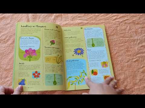 #Usborne Junior Illustrated Science Dictionary #BookSuggestionForKids
