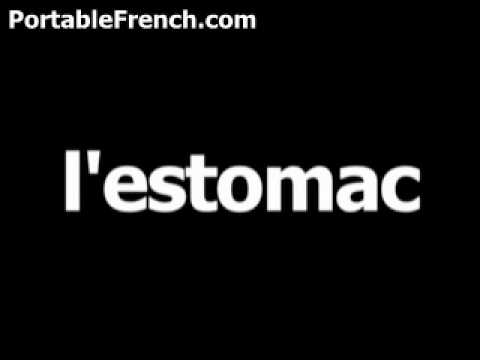 French word for stomach is l'estomac