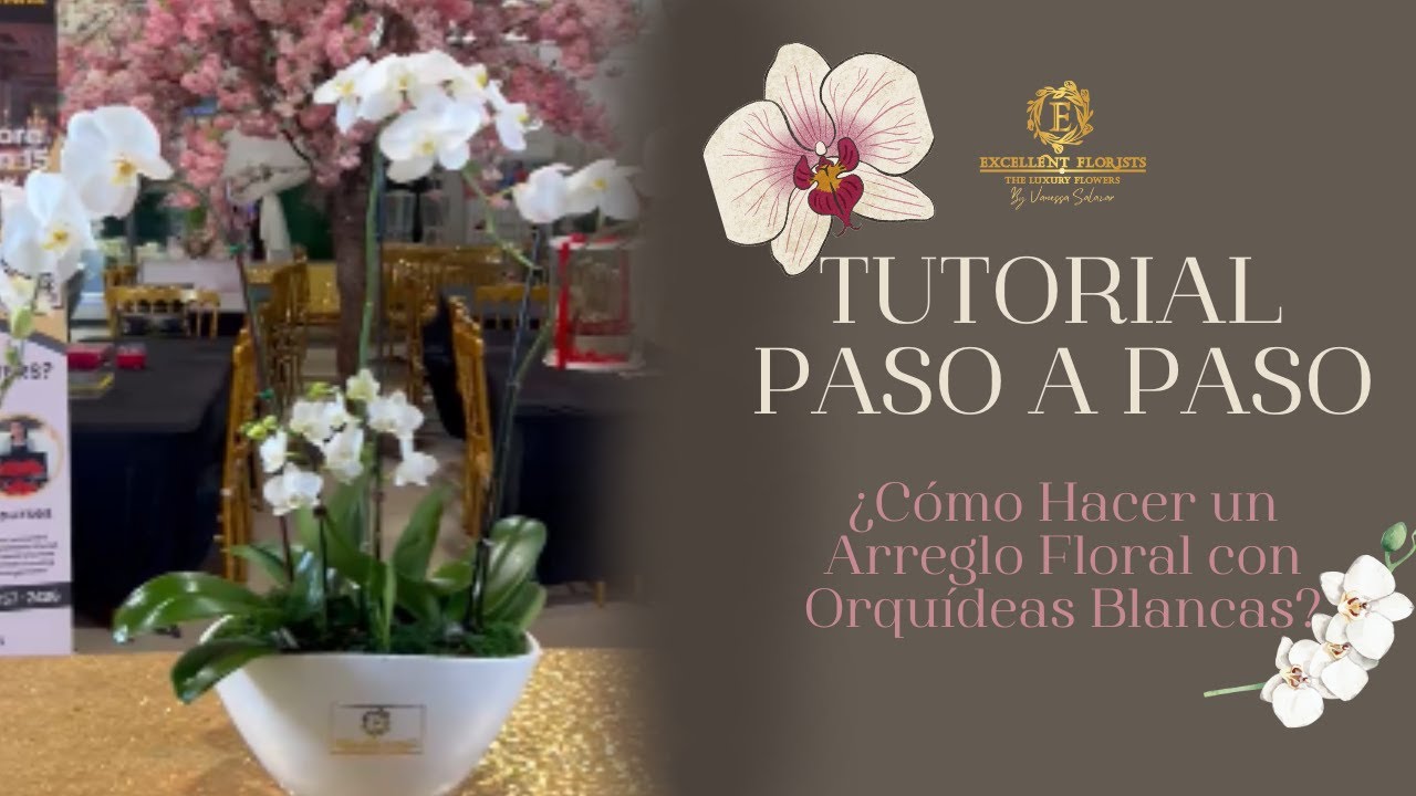 Cómo Hacer un Arreglo Floral con Orquídeas Blancas | Tutorial Paso a Paso