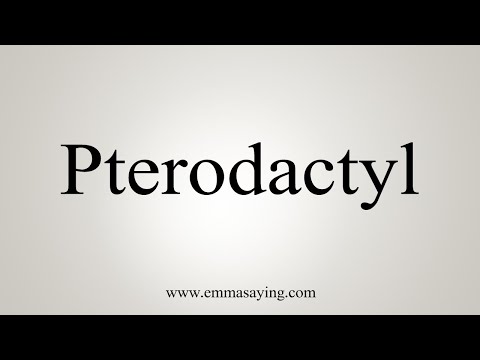 How To Say Pterodactyl