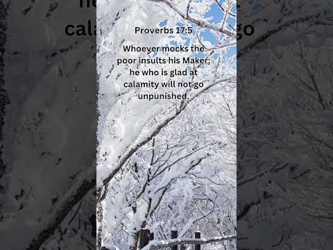 Journey of faith and spiritual growth | Proverbs 17:5 Daily Bible Verse